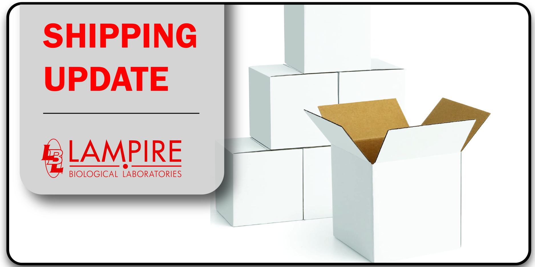 Latest News | Lampire Biological Laboratories, Inc.