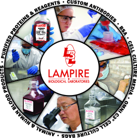 LAMPIRE SELL SHEETS | Lampire Biological Laboratories, Inc.