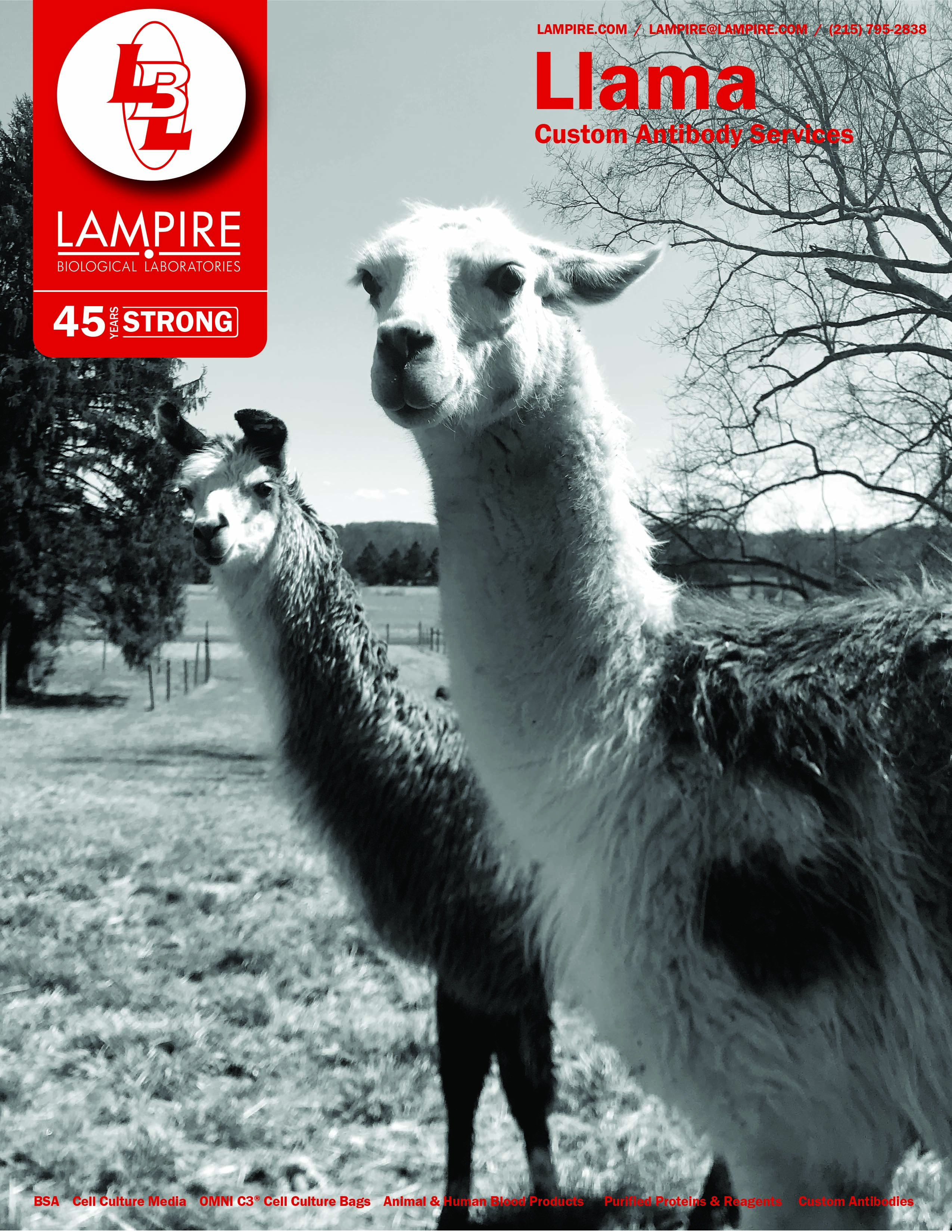 LLAMAS/ALPACAS | Lampire Biological Laboratories, Inc.