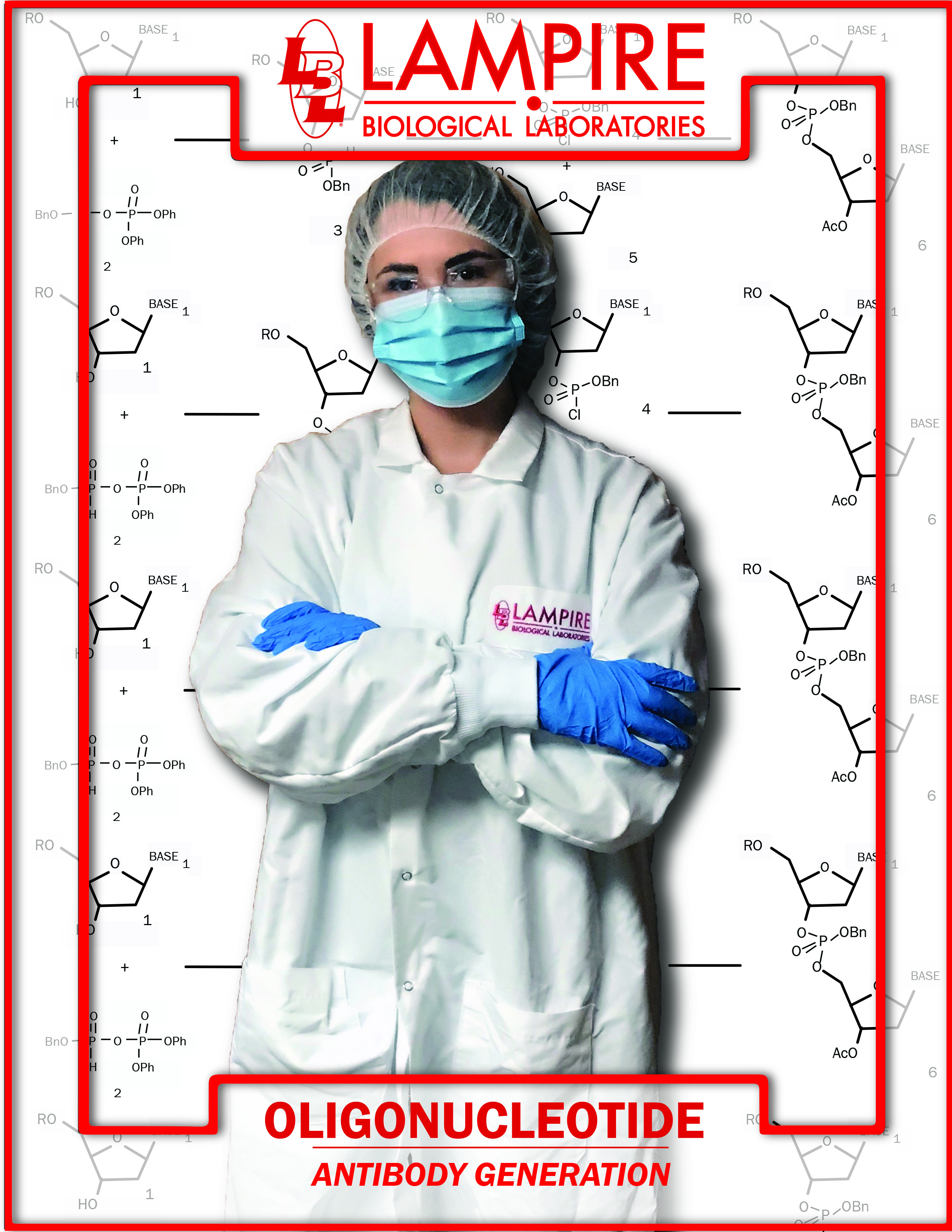 Oligonucleotides Antibody Generation | Lampire Biological Laboratories, Inc.