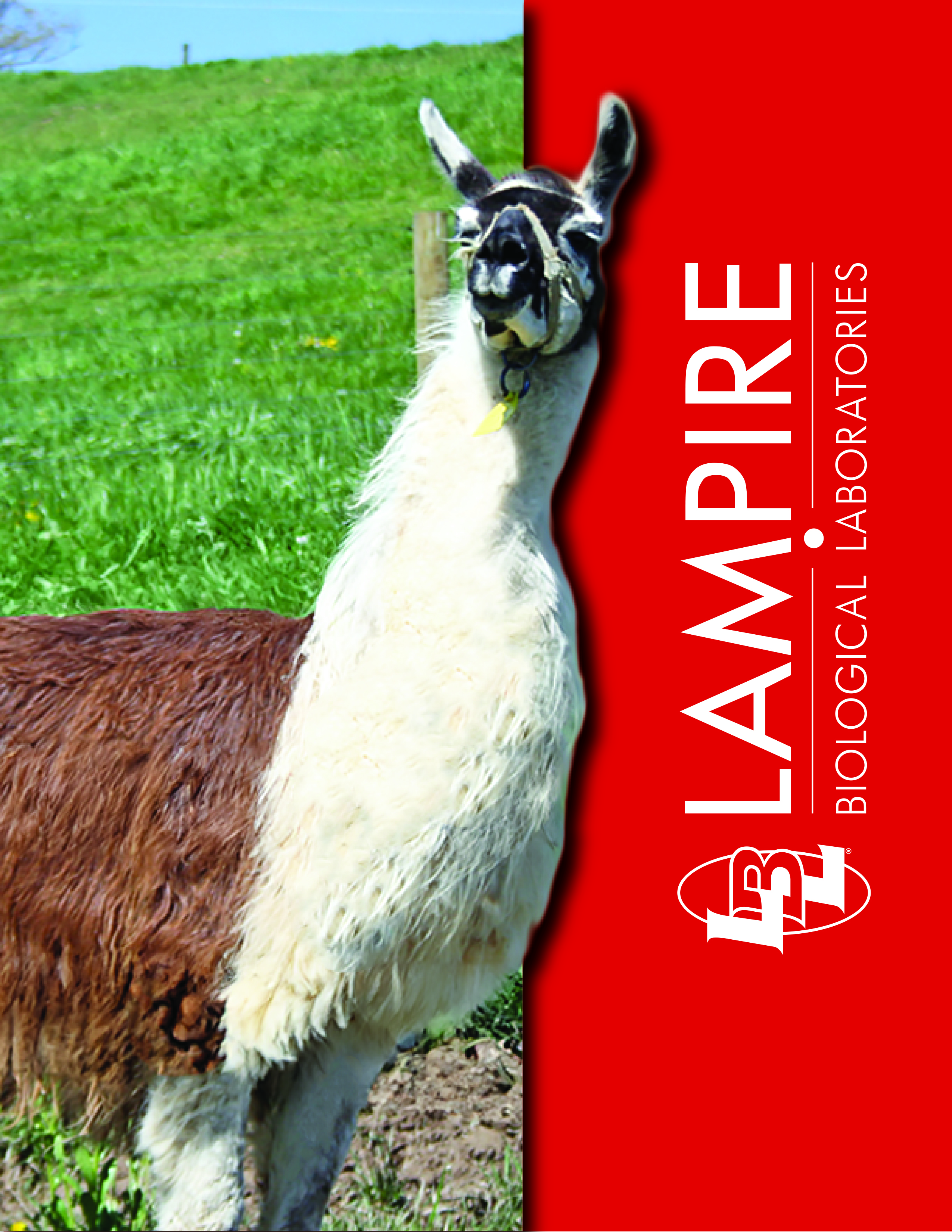 Llama Monoclonal vHH nanobodies | Lampire Biological Laboratories, Inc.