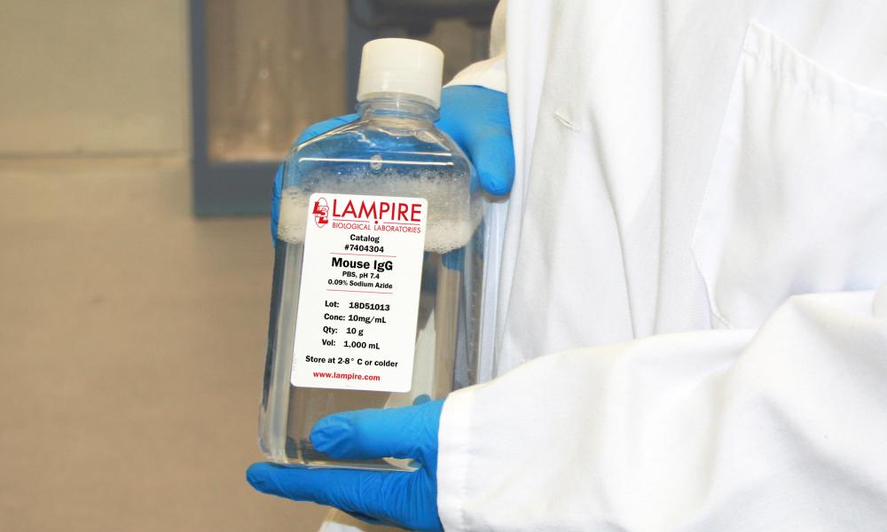 LAMPIRE specializes in custom polyclonal & monoclonal antibody ...