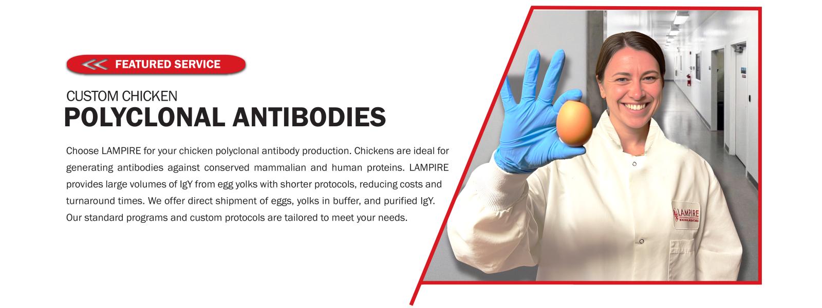 LAMPIRE specializes in custom polyclonal & monoclonal antibody ...